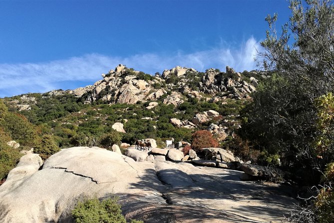 4x4 excursion between mountain and sea - Key Points