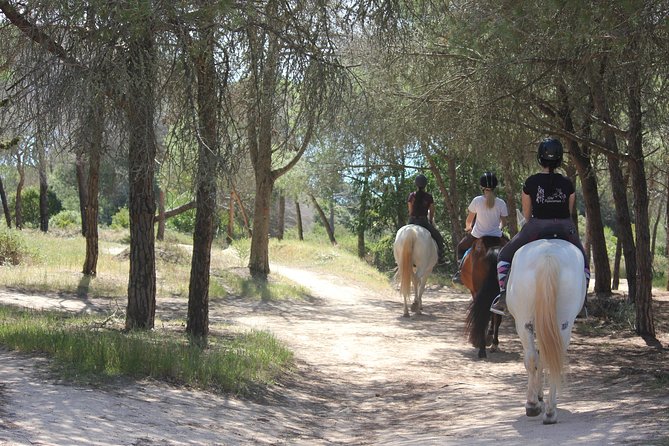Algarve - Exclusive horseriding in Portimao (no experience required) - Analyzing the Value and Pricing