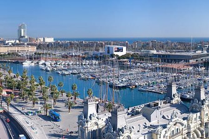 Barcelona Highlights Private Tour with Port or Hotel Transfers - Who Will Love This Tour?