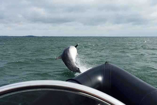 Boat Seafari Adventure - A Closer Look at the Itinerary