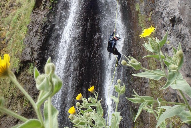 Canyoning Madeira Island - Level Two - Why This Canyoning Tour Stands Out