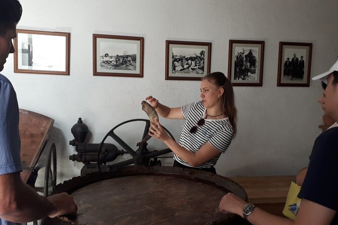 Cava tour to 3 family wineries with hotel pick-up - An Authentic Journey Through Catalonia’s Sparkling Heritage