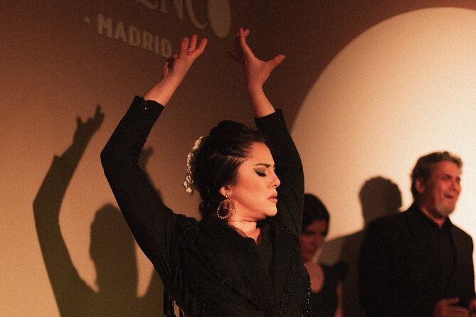 Centro Cultural Flamenco Madrid Admission Ticket - An authentic flamenco experience in the heart of Madrid