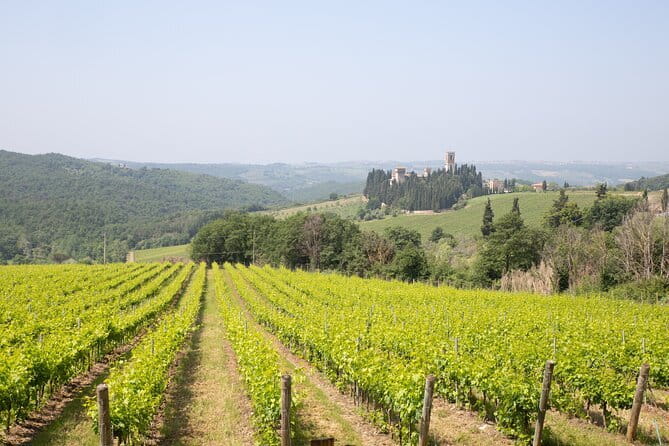 Chianti Wine Tastings at Sunset Day Trip from Florence - Pricing & Value: Is It Worth It?