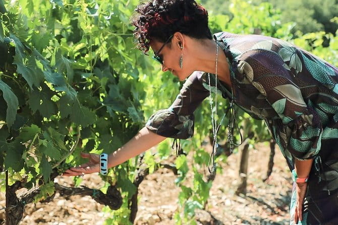 Chianti Wine Tour from Florence - The Route and What to Expect