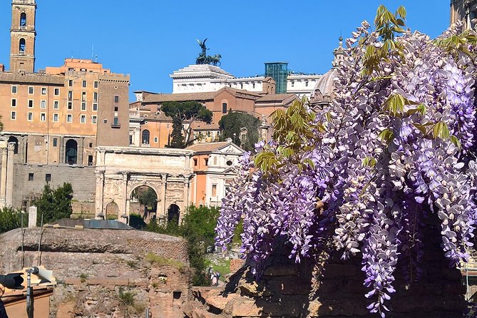 Colosseum en Forum Romanum in het Nederlands - Een uitgebreide blik op de ervaring