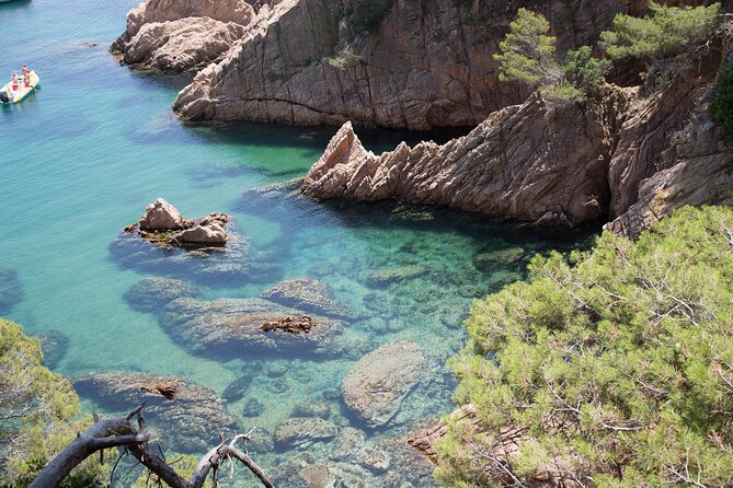 Costa Brava Day Adventure: Trails, Snorkel, Cliff-Jump & Meal - Snorkeling and Water Fun: Cool Off in the Mediterranean