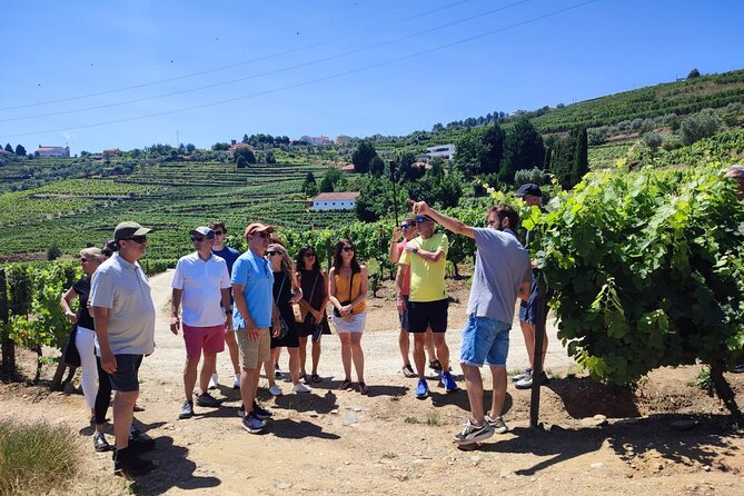 Douro Valley for Wine Lovers with Visit to 3 Vineyards and Lunch at a Winery - Discovering the Douro Valley’s Charm