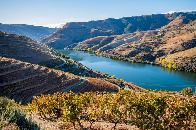Douro Valley: private tour with lunch and wine estate all inclusive - A Complete Look at the Douro Valley Private Tour
