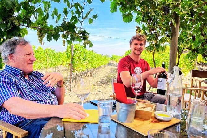 Douro Valley Small-Group Tour: 2 Wineries, Lunch, Optional Cruise - An Introduction to the Douro Valley Tour