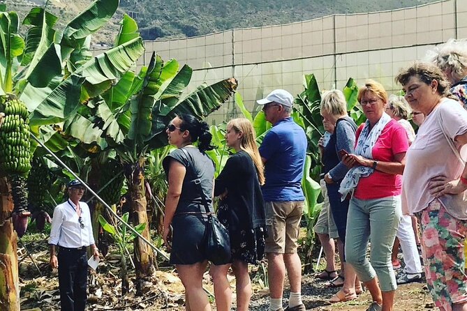 Ecological Banana Plantation Tour - Final Thoughts: Is It Worth It?