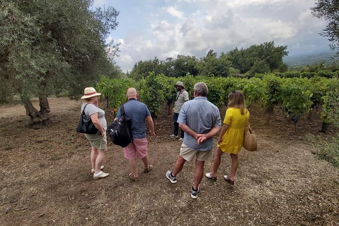 Etna Wineries Tour - Small Groups from Taormina - What’s Included and How It Works