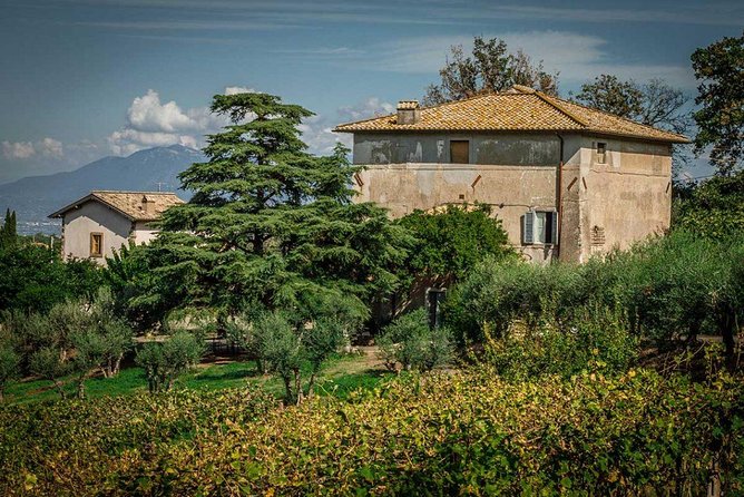 Frascati Wine Tasting Tour: The Flavors of the Roman Countryside - The Itinerary Breakdown