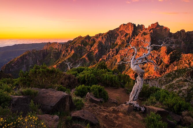 Full Day Tour to West Madeira Island - Itinerary Breakdown: A Closer Look