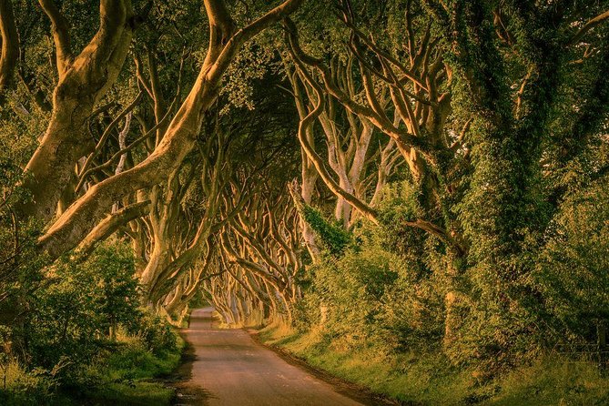 Giant Causeway, Dark Hedges & Whiskey Distillery tour from Dublin - The Itinerary: What You’ll Experience