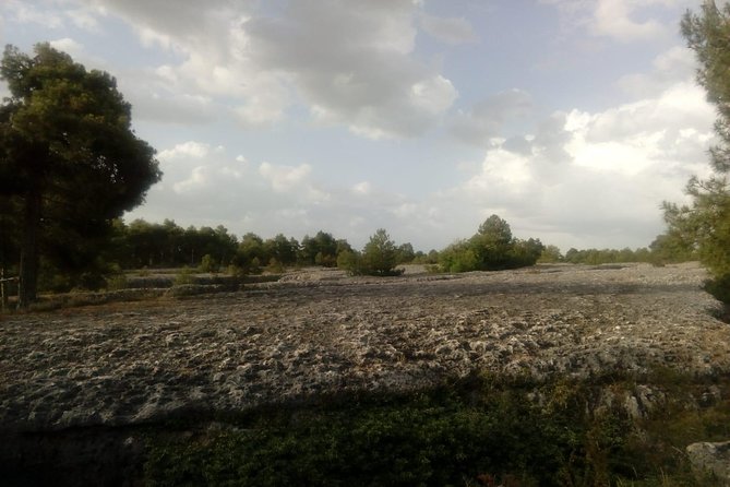 Guided tour in the Enchanted City - In-Depth Look at the Guided Tour Experience