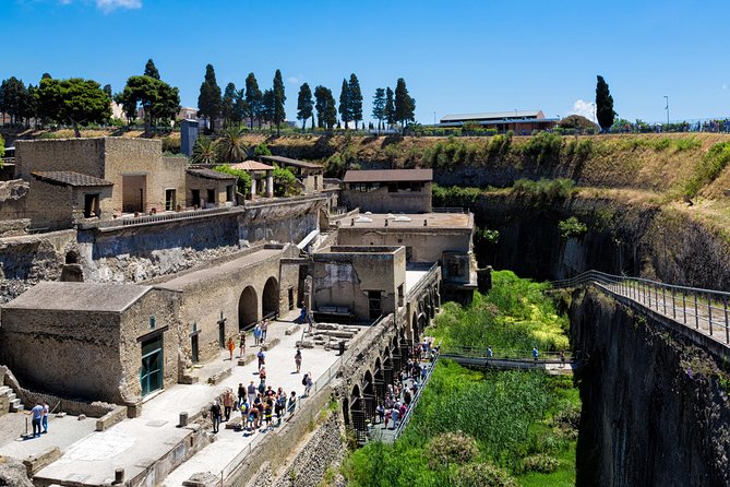 Herculaneum Private Tour with an Archaeologist - Introduction