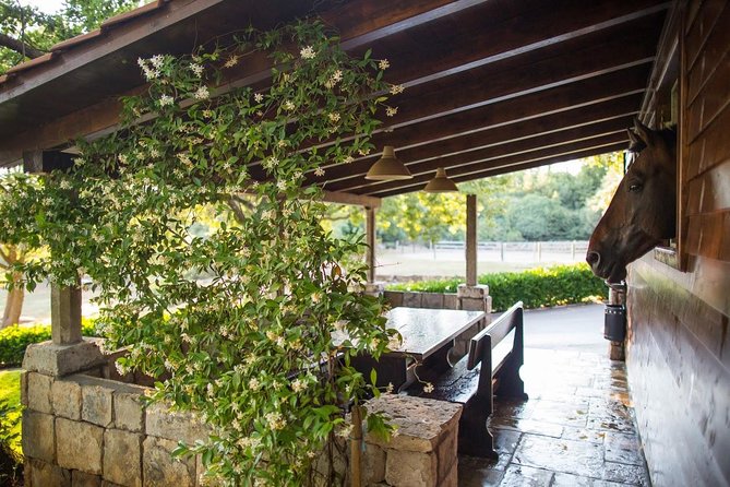 Horseback Riding in Konavle Region with Transport from Dubrovnik - A Detailed Look at the Experience