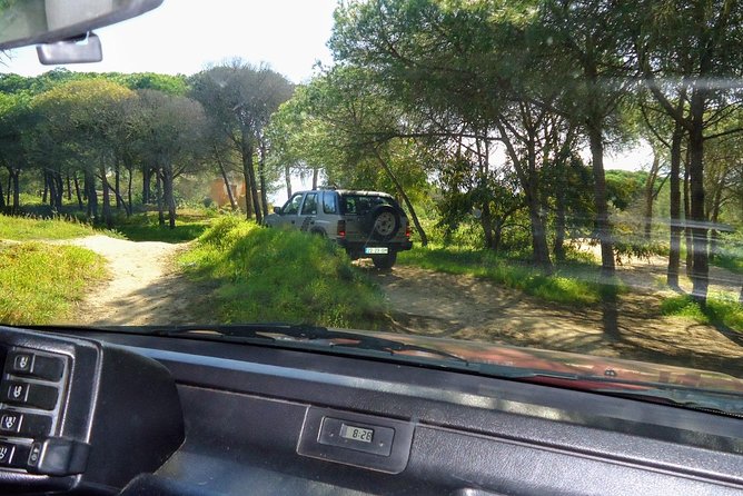 Jeep half day tour of our Algarve coast and mountains - Experience Overview: From the Coast to the Mountains