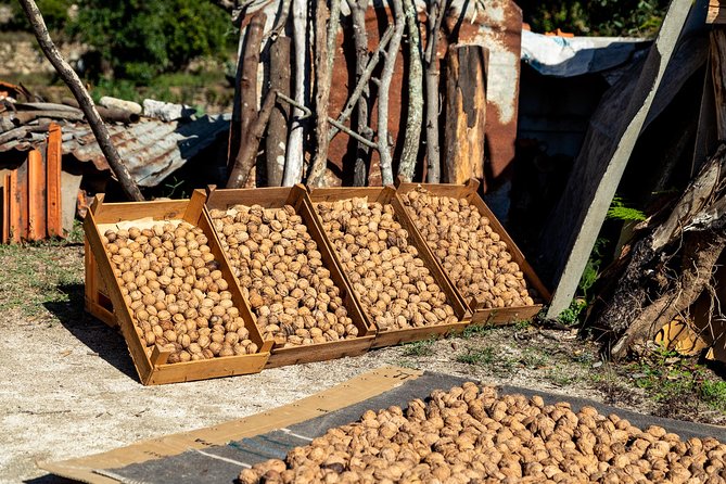 Jeep Safari #1 in Algarve - Key Points