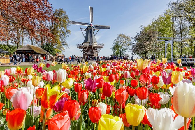 Keukenhof Gardens & Tulip Experience Tour from Amsterdam - Frequently Asked Questions