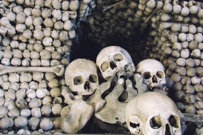 Kutna Hora Day Tour Including Sedlec Ossuary from Prague - Food, Comfort, and Practicalities