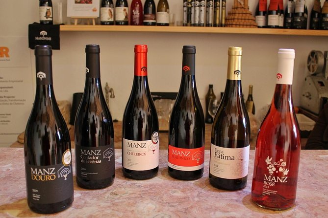 Lisbon Southern Region (Fernão Pó) Wine Tasting Private Tour - An In-Depth Review of the Lisbon Southern Region (Fernão Pó) Wine Tasting Tour