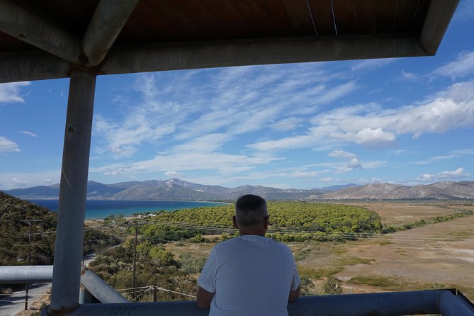 Marathon & Thermopylae Battlefields Private Day Tour from Athens - An In-Depth Look at the Tour Experience