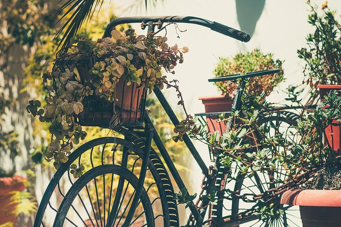 Nerja (Pueblo) + Frigiliana & El Acebuchal - Semi-Private - An In-Depth Look at the Tour Experience