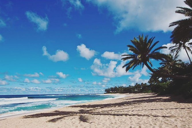 Oahu Circle Island: Snorkel with Turtles & Explore Turtle Beach - The Sum Up