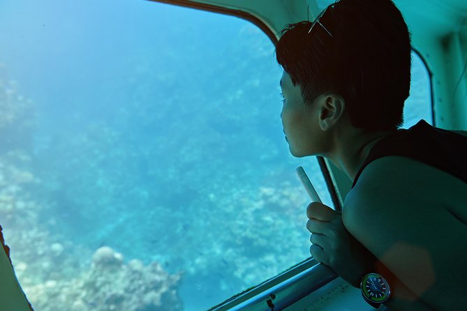 Odyssee 3: The Glass Bottom Boat Tour in Fuerteventura - The Itinerary in Detail