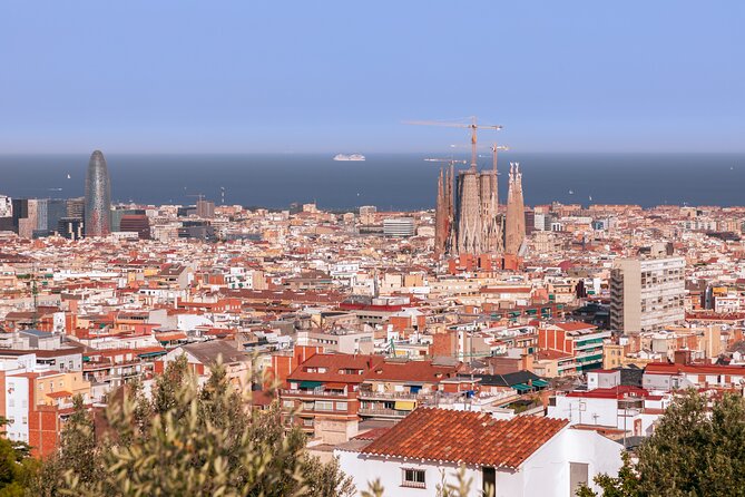 Park Guell Guided Group Tour with Optional Sagrada Familia - An In-Depth Look at the Tour Experience