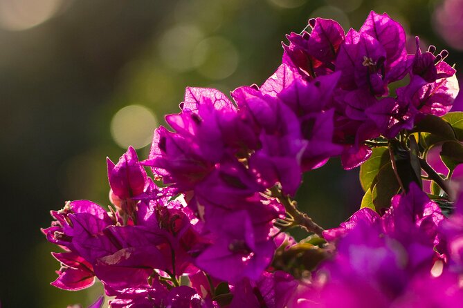 Photo Walking Tour in Sitges - A Closer Look at the Photo Walking Tour in Sitges