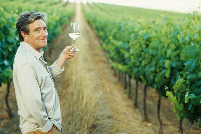 Porto: Douro Valley Wine Tour Including Lunch - An Authentic Taste of Portugal’s Douro Valley