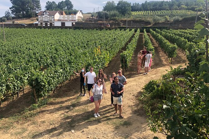 Premium Douro Valley Small-Group Tour, Wine Tasting, Lunch & Boat - The Perfect Introduction to Douro’s Beauty and Flavours