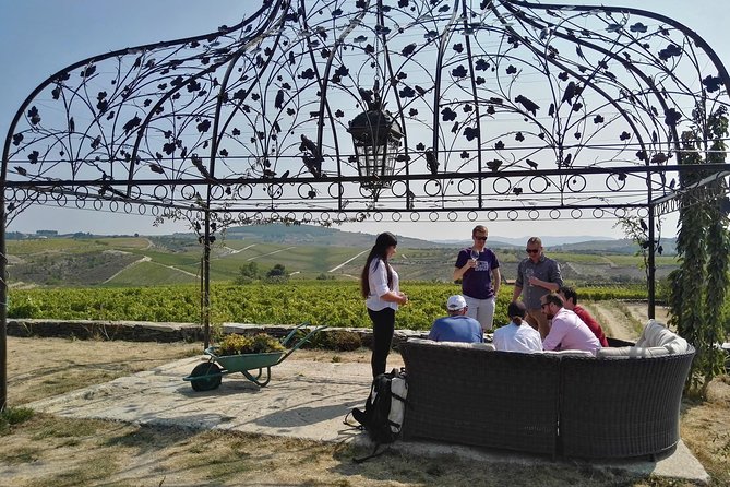 Premium Private Douro Tour: 3 Wineries with Tastings & Lunch - The Itinerary: What to Expect on This Douro Day Trip