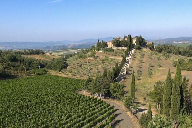 Private Chianti wine tour - Experience Breakdown: What to Expect on the Tour