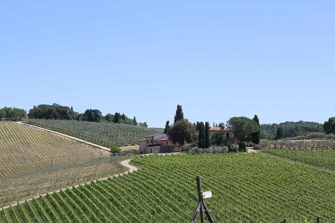 Private daytrip to Siena & Chianti wine country, with wine tasting from Florence - The Journey Begins in Greve in Chianti