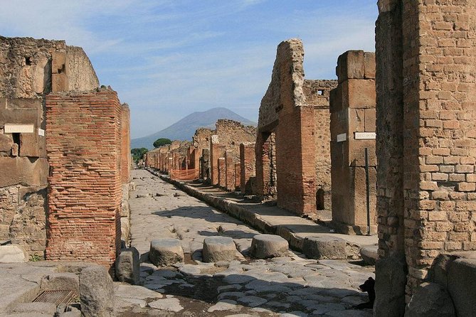 Private Pompeii Day Trip from Rome - The Itinerary in Detail