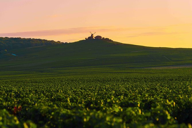 Private tour of the Champagne area, meet local producers and taste their Champagne, start from your hotel in Paris. - Exploring the Itinerary: Step-by-Step