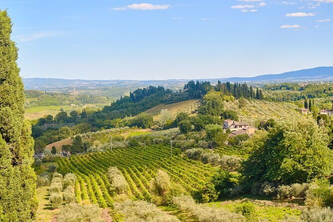 Private Tuscany Tour from Florence Including Siena, San Gimignano and Chianti Wine Region - The Itinerary: What to Expect at Each Stop