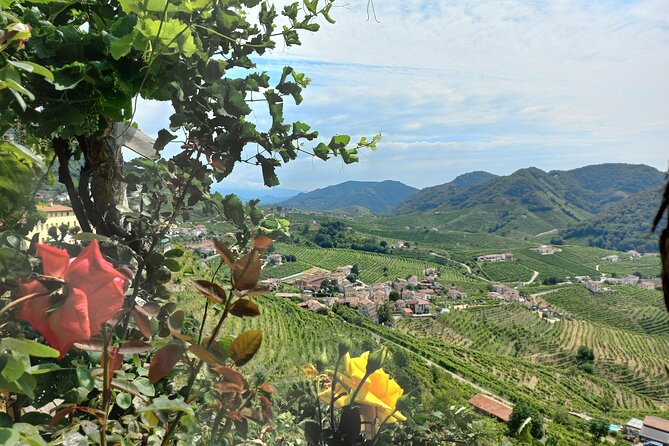 Prosecco hills wine and food tour from Venice and Treviso - A Detailed Look at the Prosecco Hills Tour