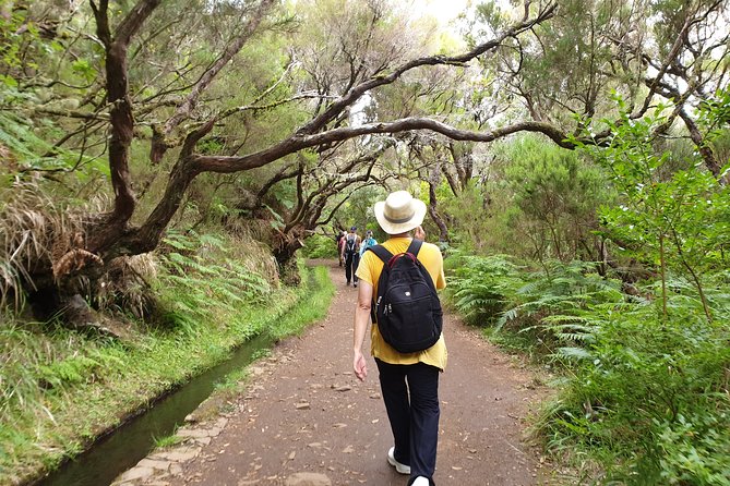 Rabaçal - 25 Fonts - What to Expect on the Tour