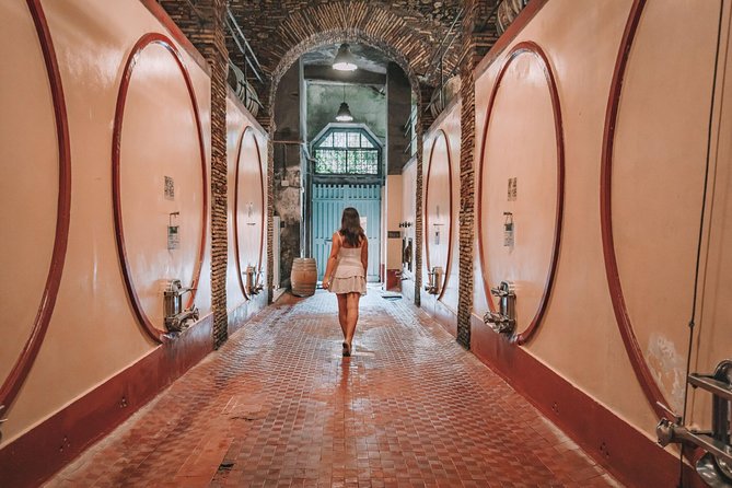 Roman countryside Food & Wine Tasting in a medieval winery - An In-Depth Look at the Experience
