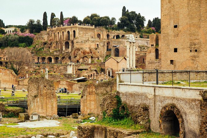 Rome Colosseum & Forum PRIVATE TOUR with a Local Private Guide - Key Points