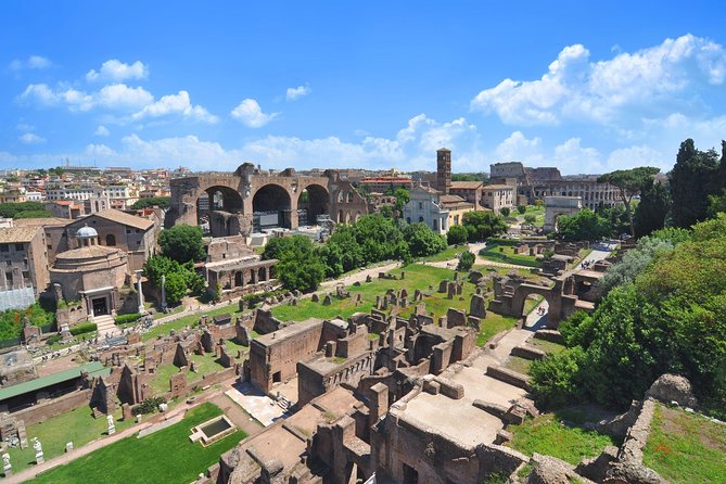 Rome: Colosseum, Roman Forum, and Palatine Hill Guided Tour - Setting the Scene: What to Expect