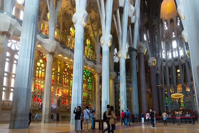 Sagrada Familia Guided Tour with Towers Access - What to Expect from the Tour: A Step-by-Step Breakdown