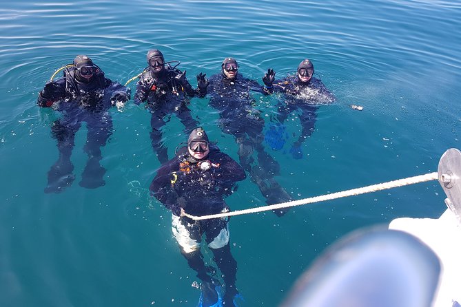 Scuba Diving Albufeira-Double Dive Trip - The Itinerary: What You Can Expect from Start to Finish
