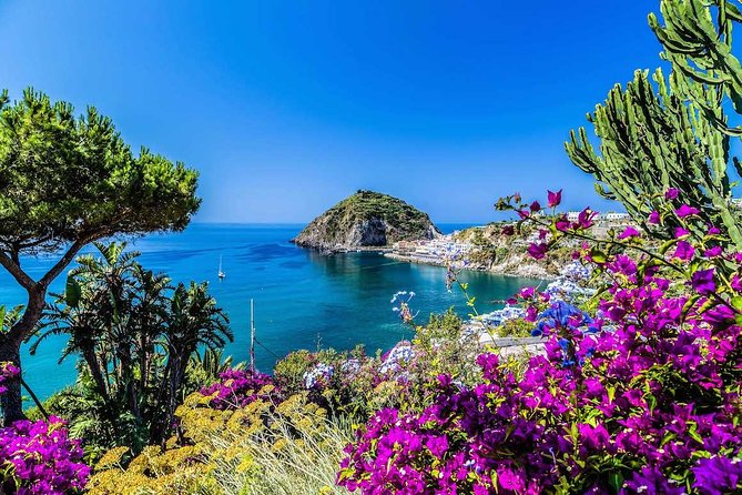 Small Group Ischia and Procida Boat Day Tour from Sorrento - An Overview of What to Expect