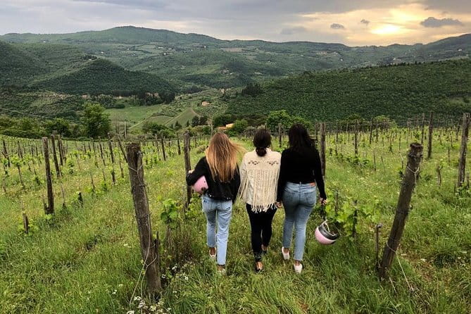 Small Group Wine Tasting in Tuscany with Vineyard Visit - The Wine Tasting: Generous & Educational